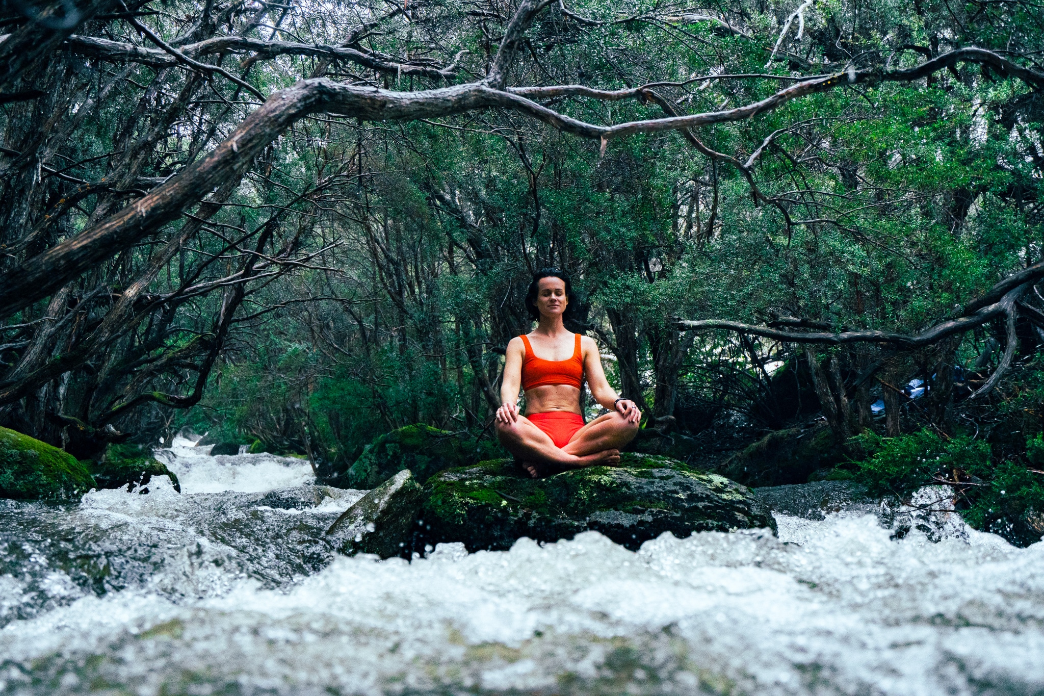 The Stella Women Series Featuring Leah Scott - Stella Insurance