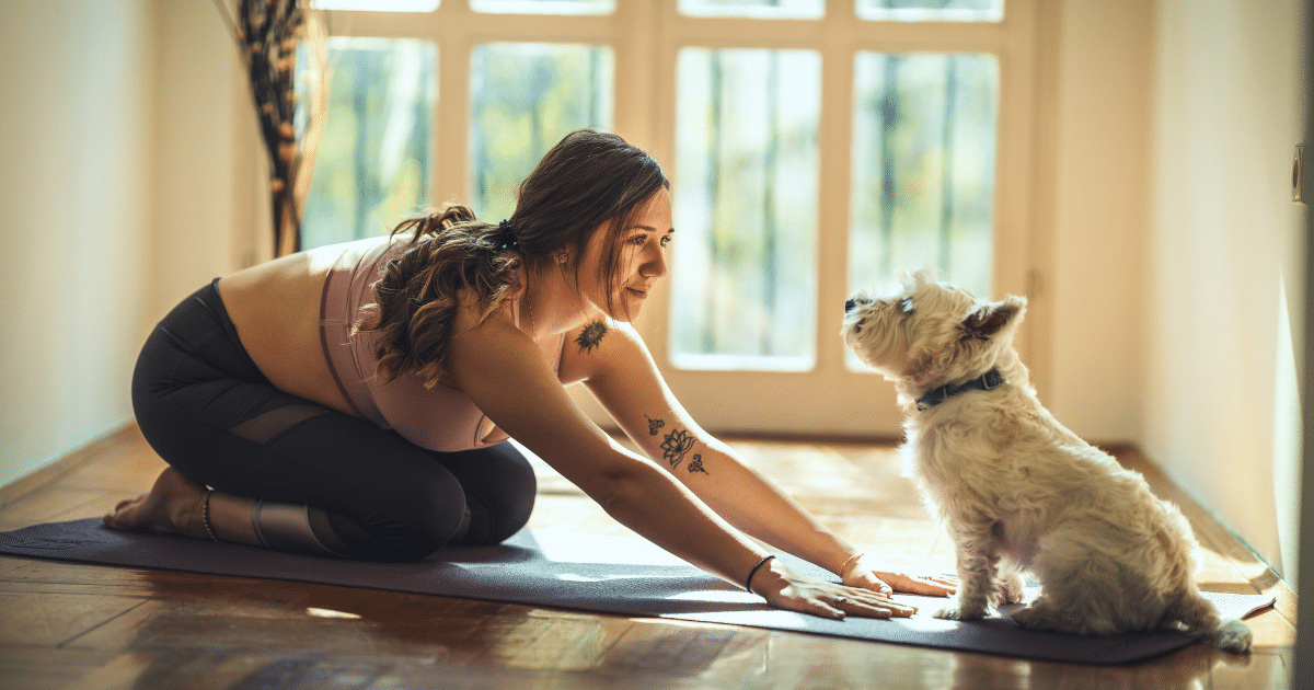 Pet Insurance | Buy Pet Insurance Online in Australia | Stella Insurance